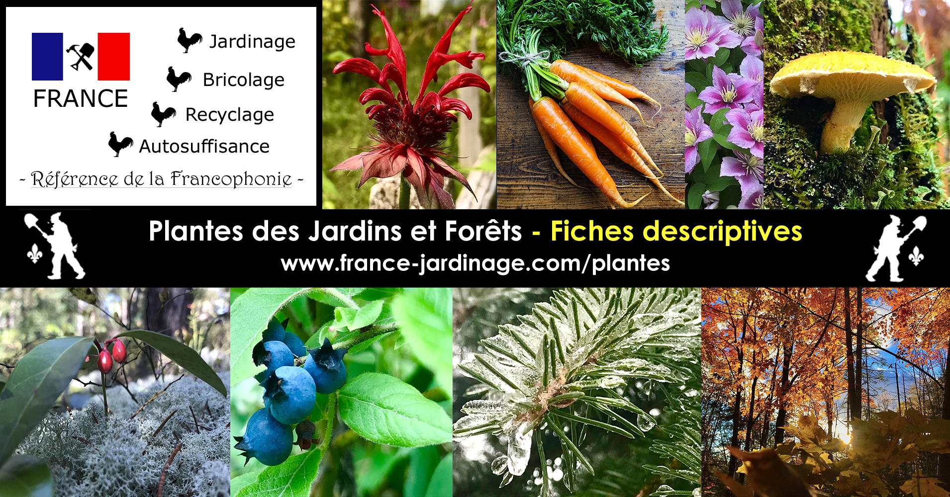Plantes - Liste Répertoire Identification des Plantes de Jardin